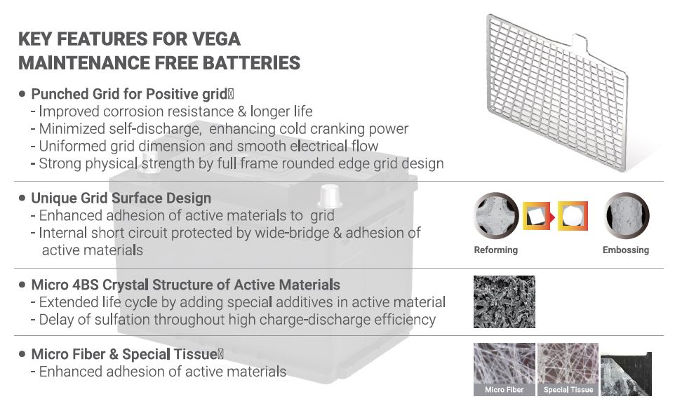 Vega Calcium Batteries – Kai Shen Marketing Sdn. Bhd.